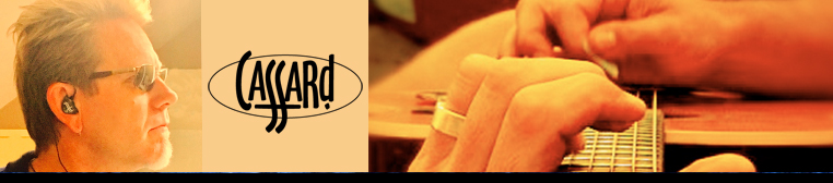 The Perfect Camping Guitar? - Martin LX1e